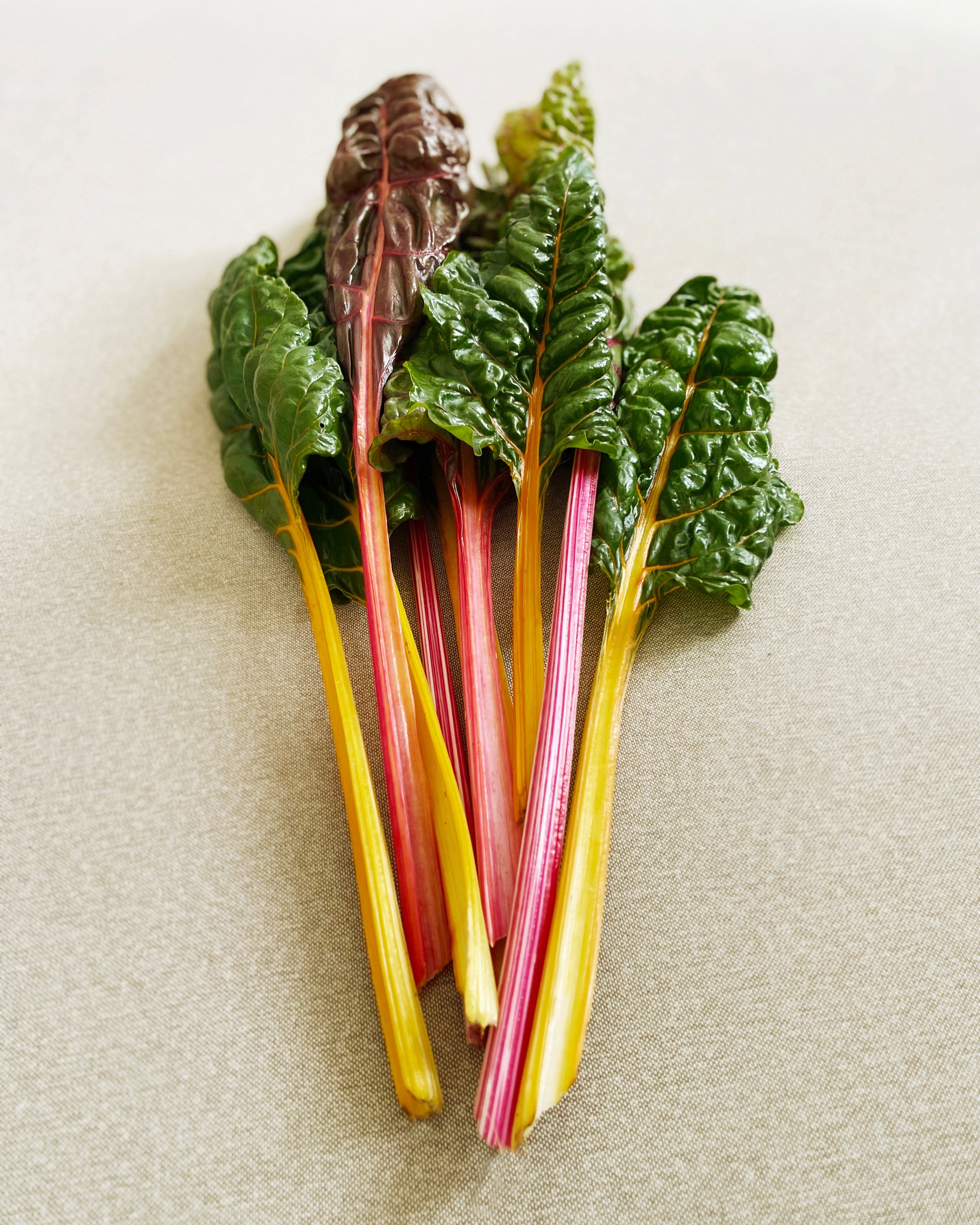 Mangold 'Five Colours' Ekologisk - Nyhet! – New Botanic