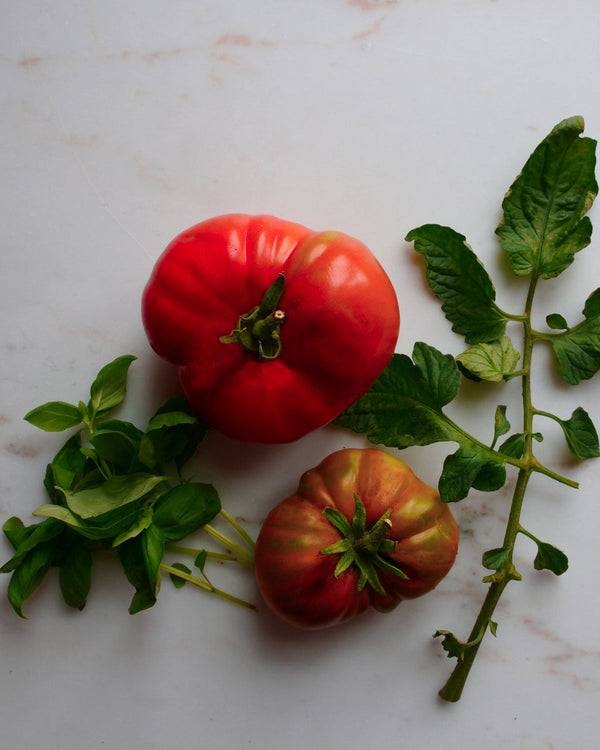 Grönsaksfröer – New Botanic